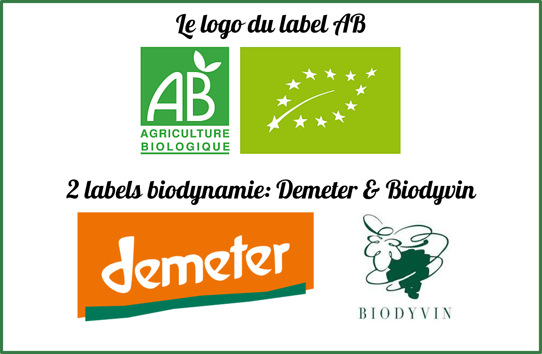 Qu'est-ce-que les vins bio et naturels?